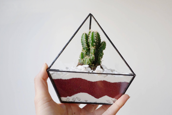 Create a sand terrarium in 5 simple steps – The Geometric Planter