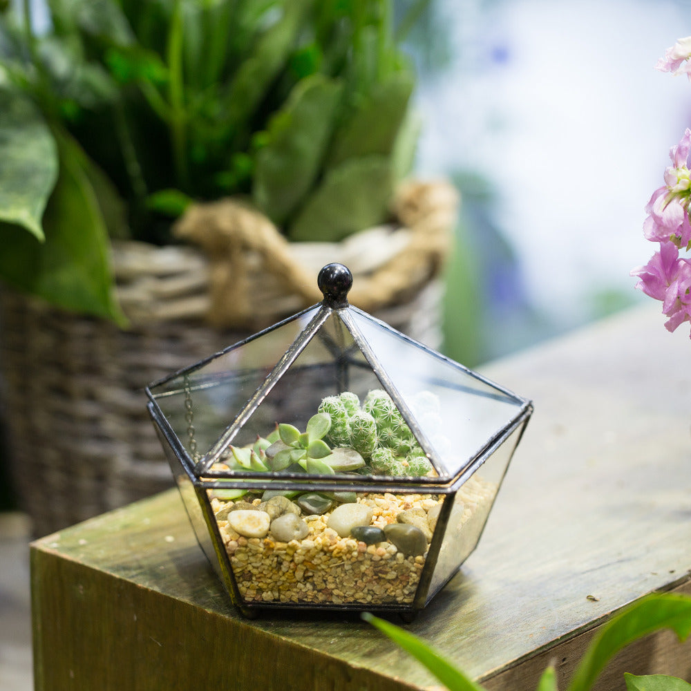 Carousel Terrarium – The Geometric Planter