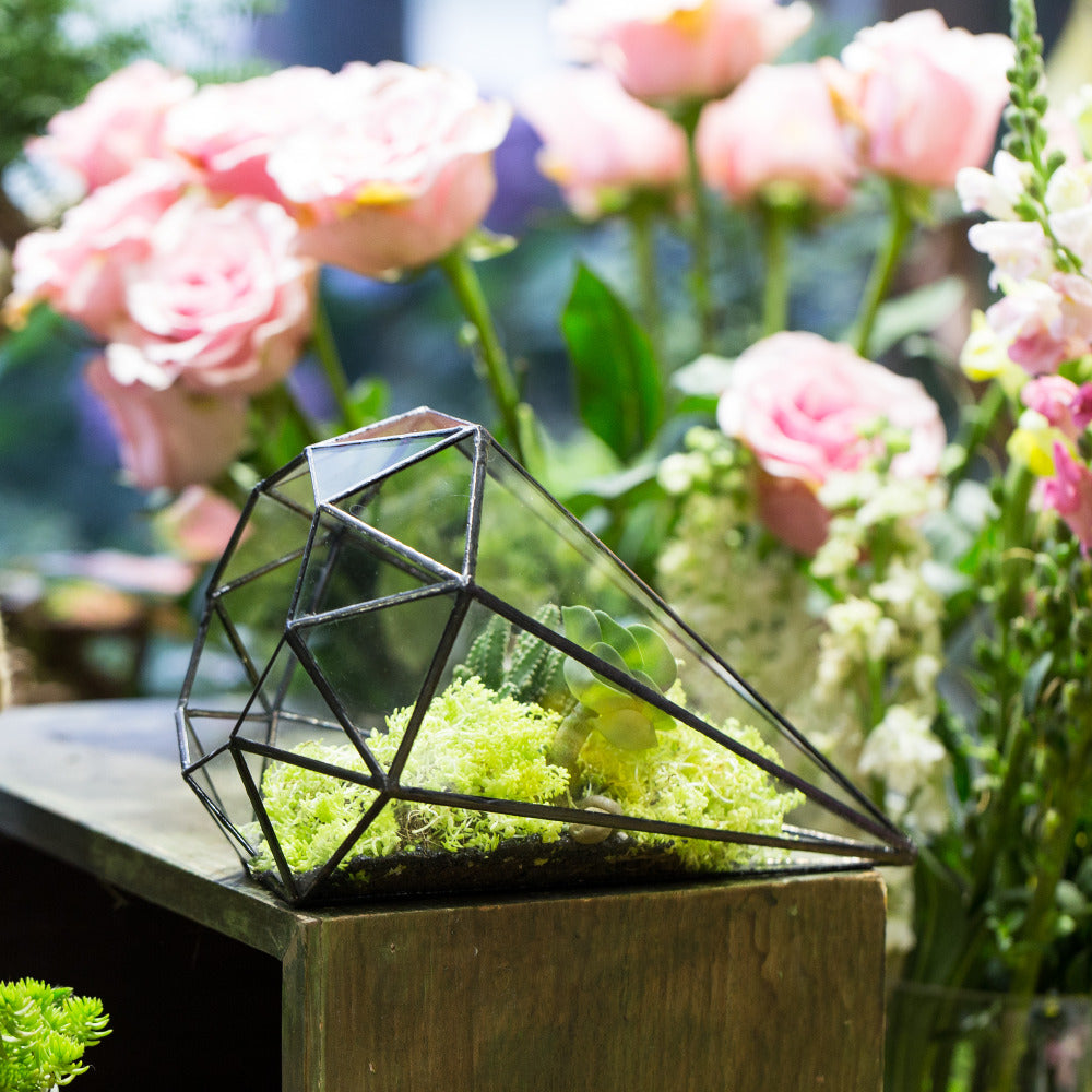 Octahedral Terrarium – The Geometric Planter