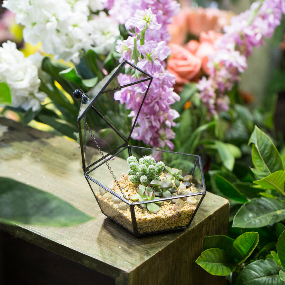 Carousel Terrarium – The Geometric Planter