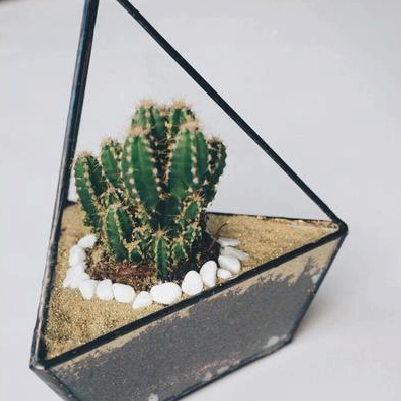 Pyramid Terrarium – The Geometric Planter