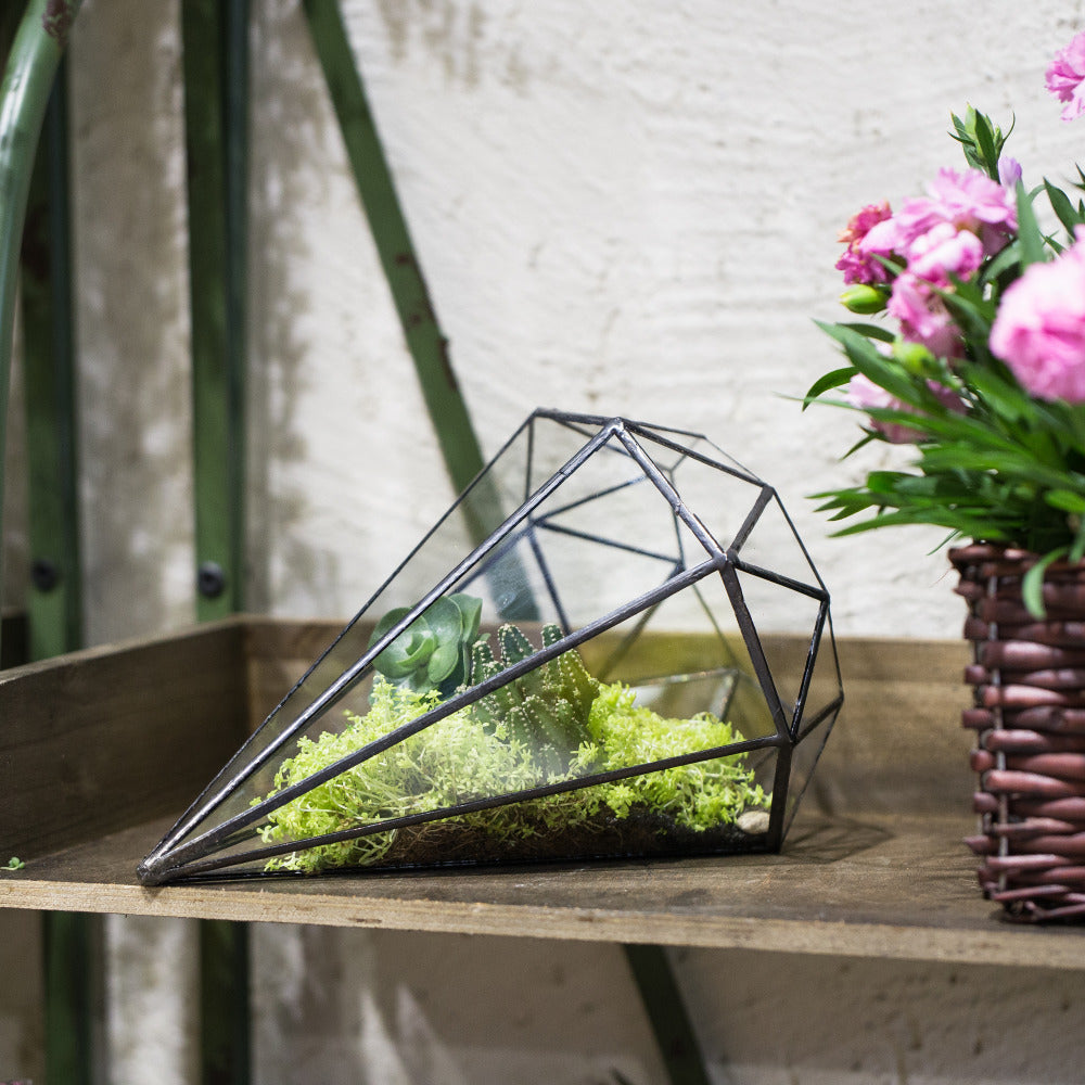 Octahedral Terrarium – The Geometric Planter