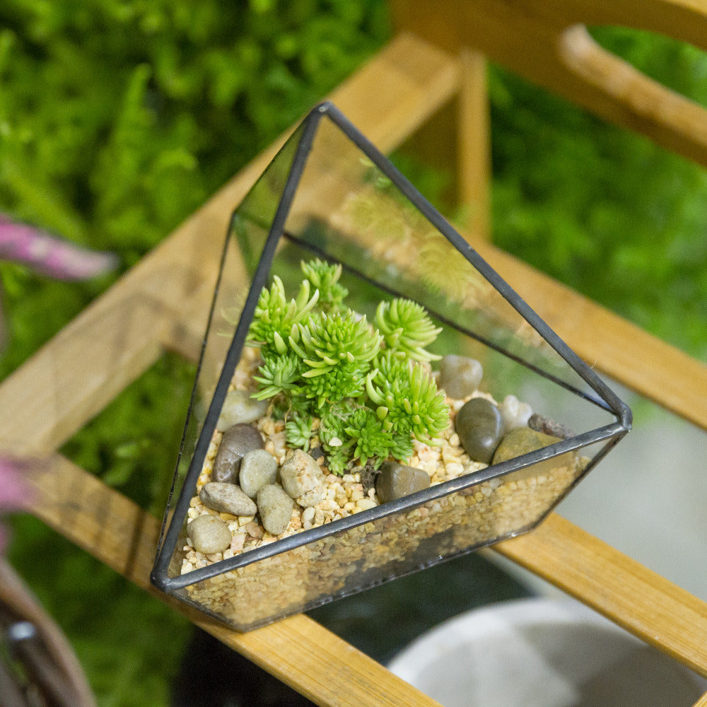 Pyramid Terrarium – The Geometric Planter
