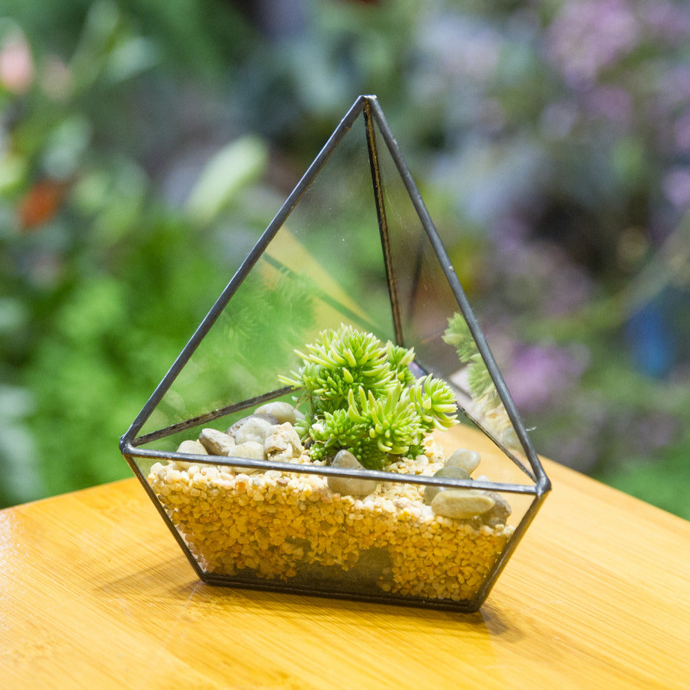 Pyramid Terrarium – The Geometric Planter