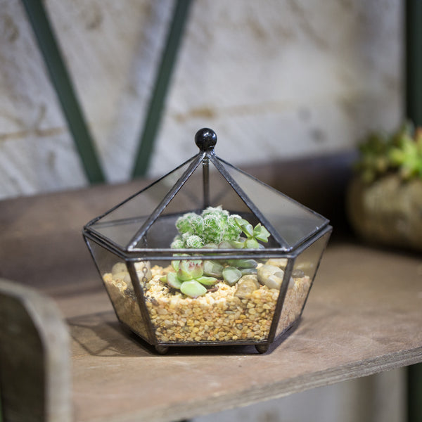 Carousel Terrarium – The Geometric Planter
