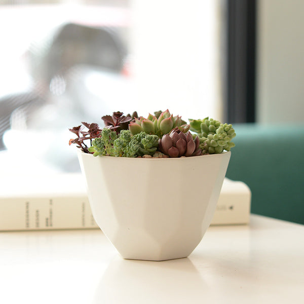 Earth Planter (4 colors) – The Geometric Planter