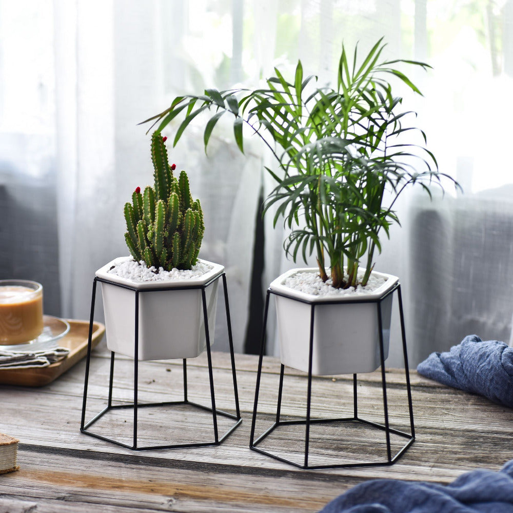 Hexagon Stand & Planter (black) – The Geometric Planter