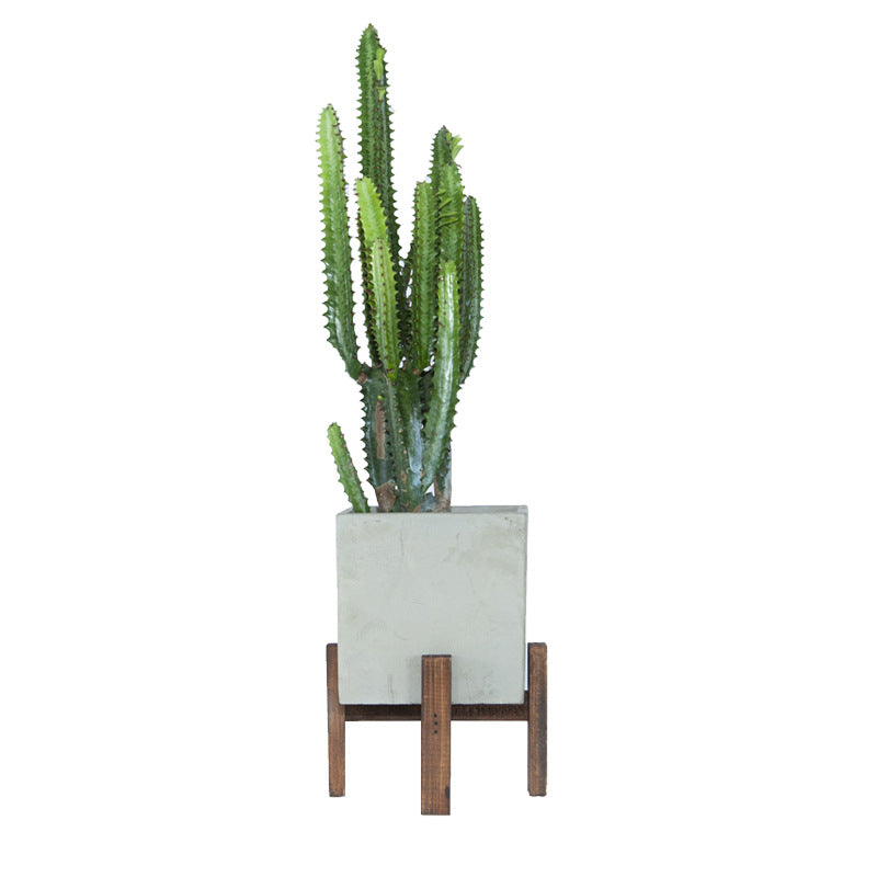 Cube Forest Planter – The Geometric Planter