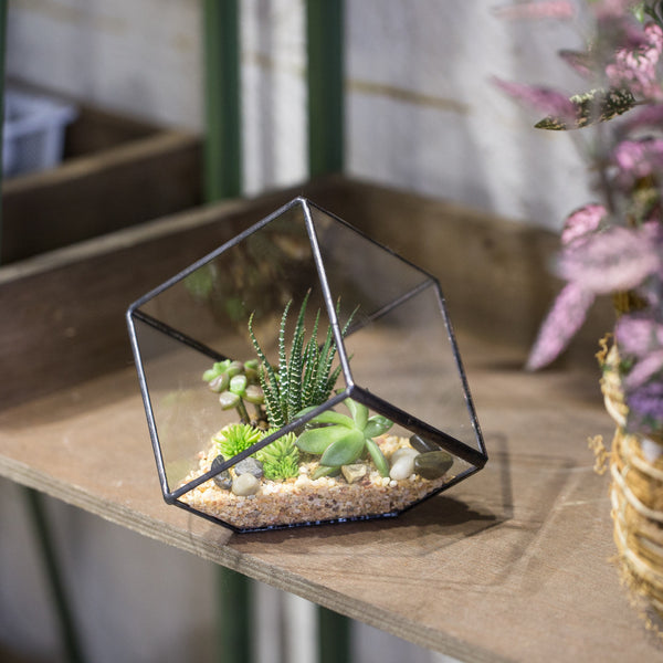 Inclined Cube Terrarium – The Geometric Planter