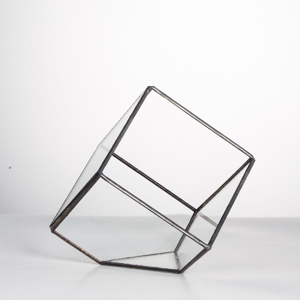 Inclined Cube Terrarium – The Geometric Planter