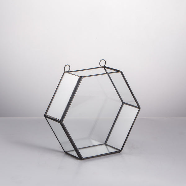 Hanging Hexagon Terrarium – The Geometric Planter