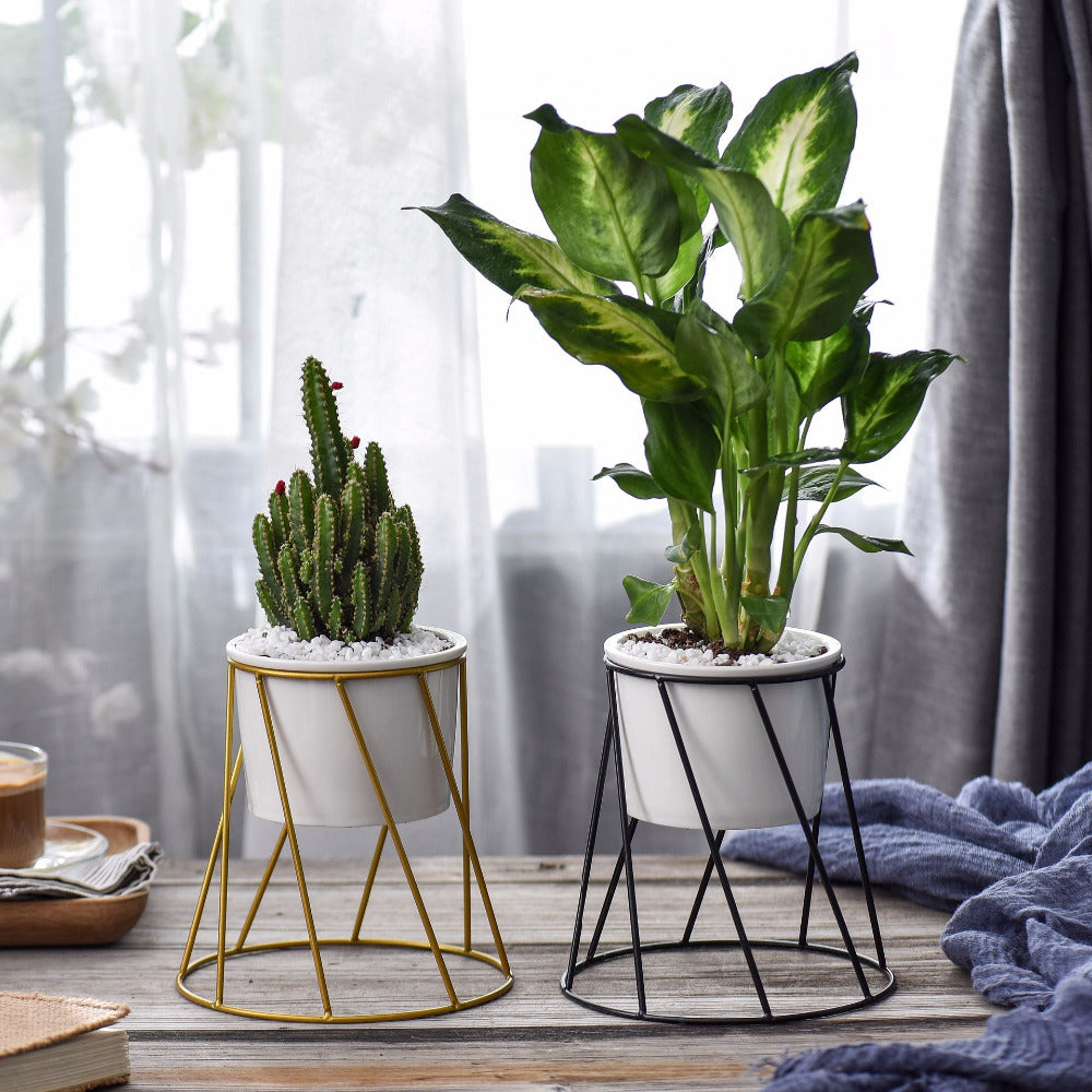 Twist Stand & Planter (Gold) – The Geometric Planter
